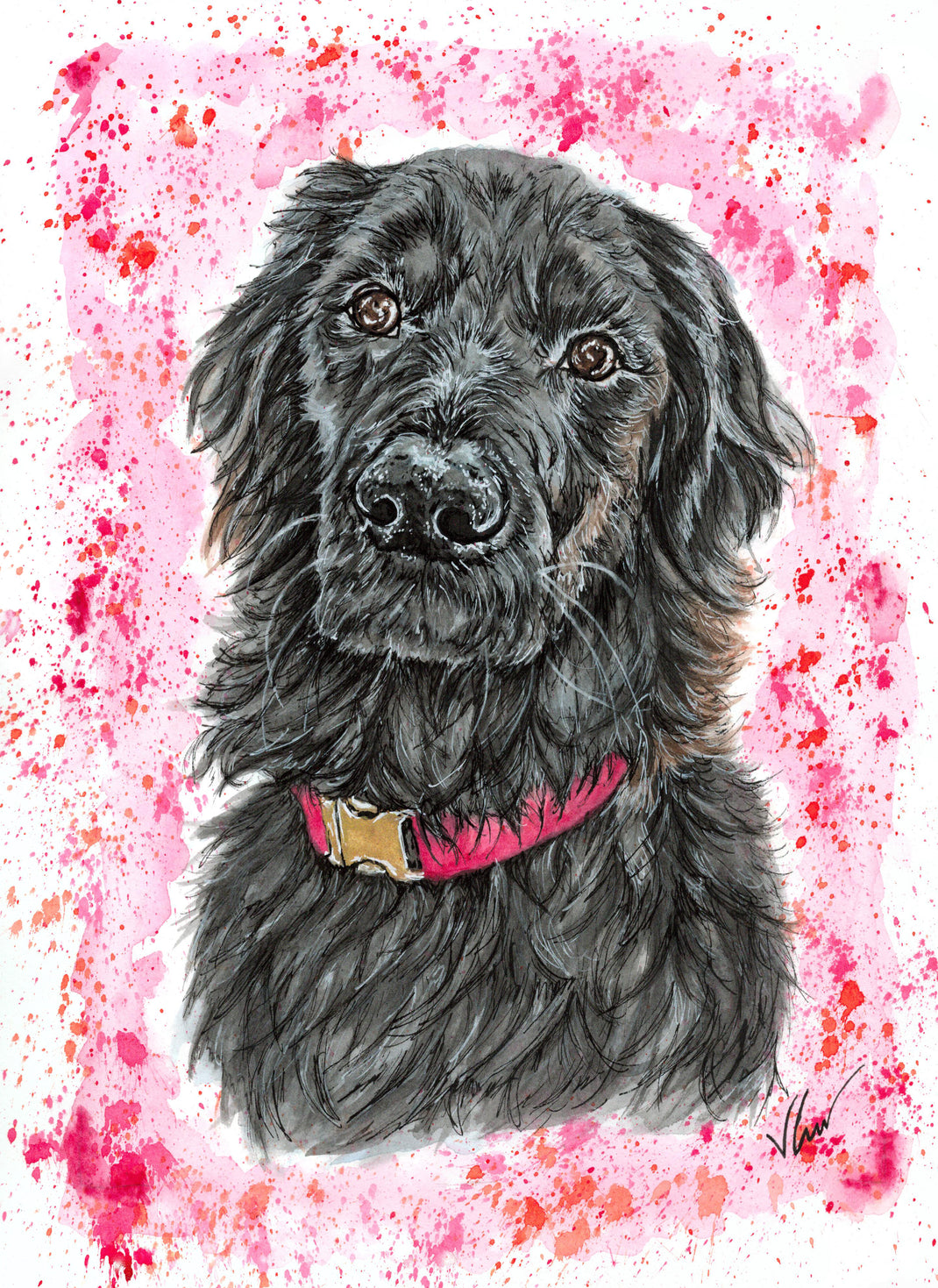Pet Portraits – Victoria Gordon Art